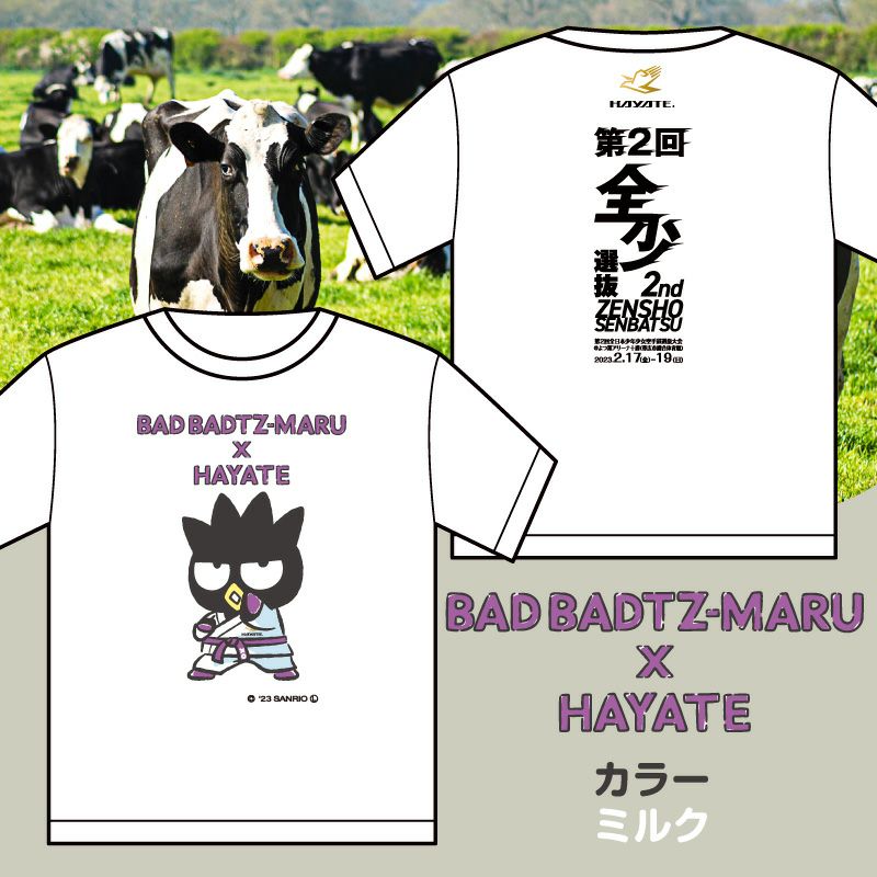 SANRIO CHARACTERS×HAYATE | HAYATEオンライン